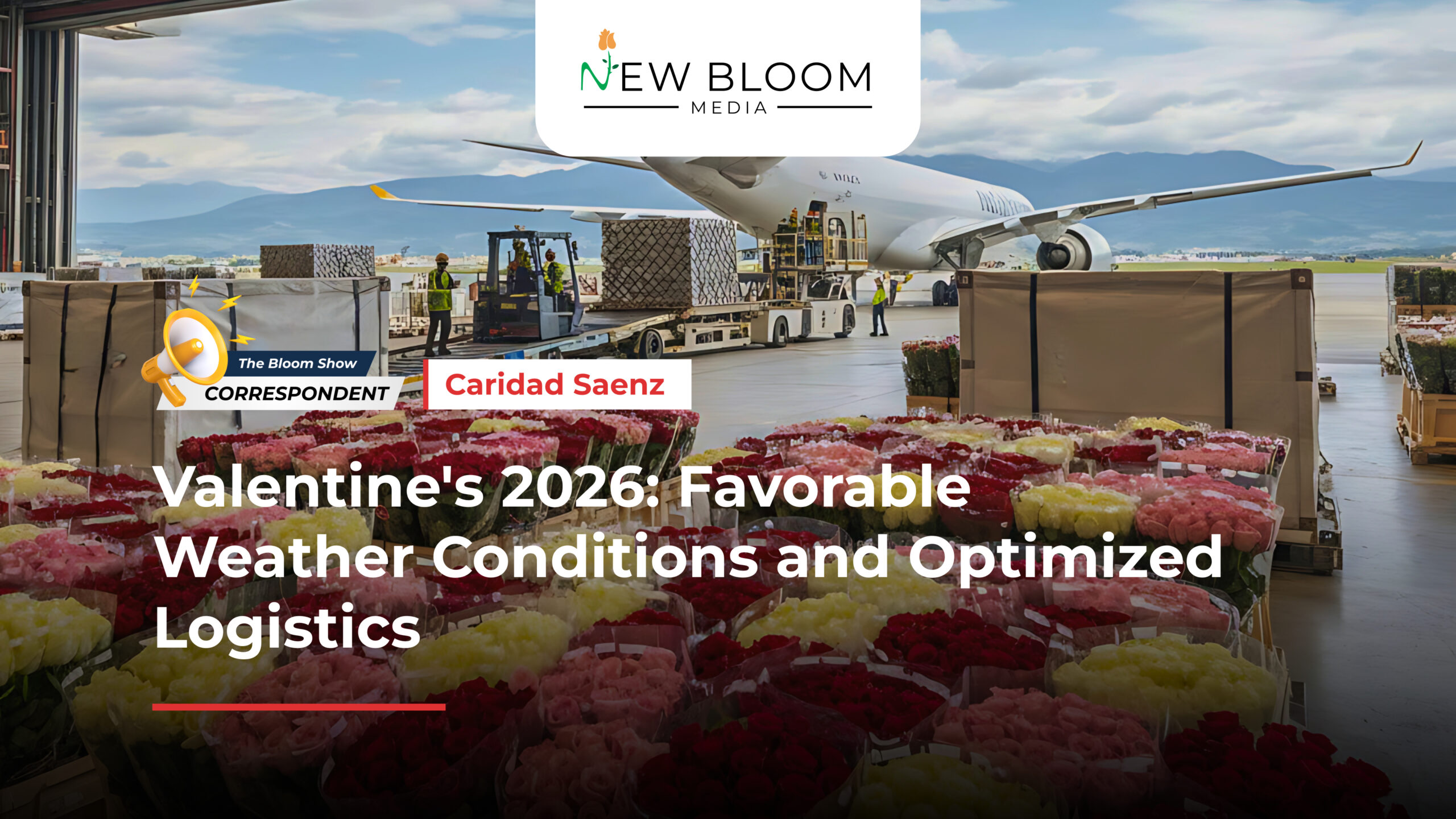 Valentine’s 2026: Favorable Weather Conditions And Optimized Logistics ...
